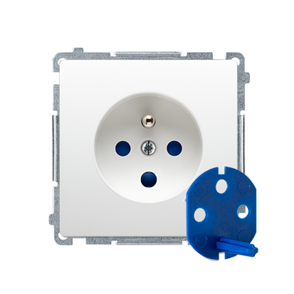 Prise DATA avec terre et détrompeur (modulaire) bornes à vis, blanc ...